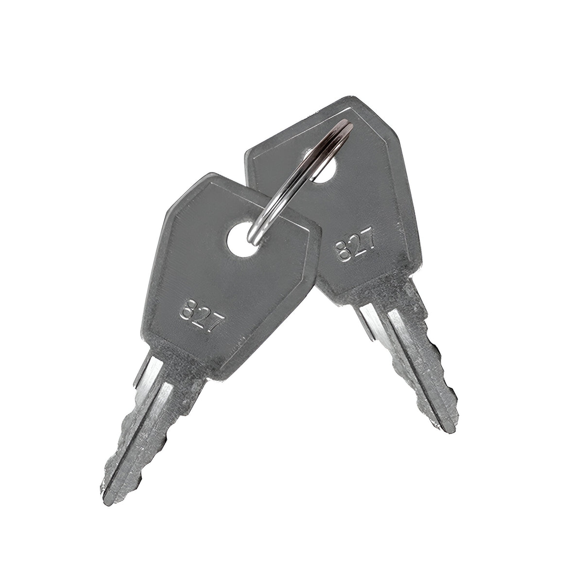 MAGfire Spare Keys for Fire Isolator Switch (2 Pack) – Niori